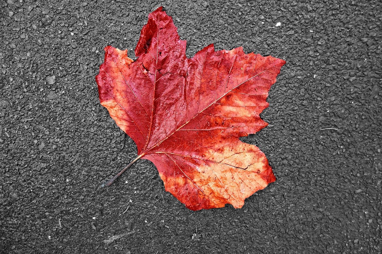 Coloured Tarmac Driveways Are No Longer Restricted to One Colour | Low ...