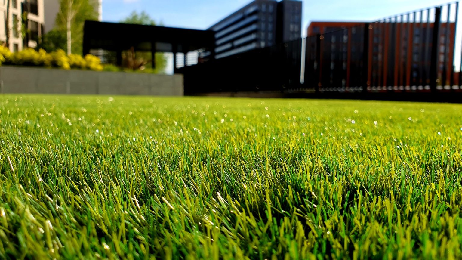 9 Essential Lawn Care and Maintenance Tips | Low Carbon Buildings