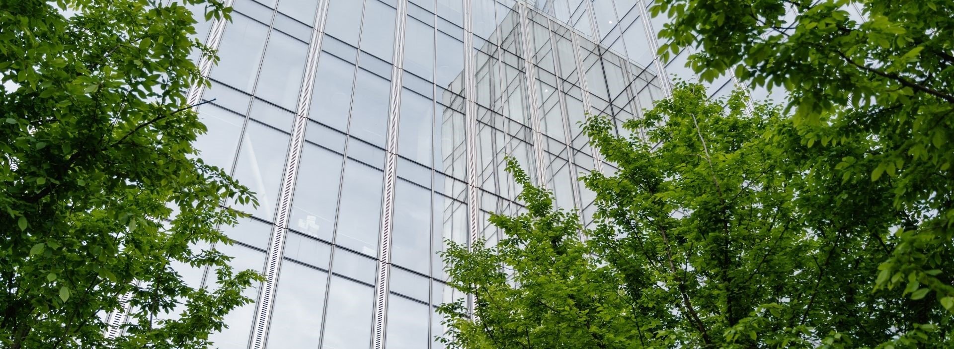 The UK Net Zero Carbon Buildings Standard: What You Need to Know | Low ...