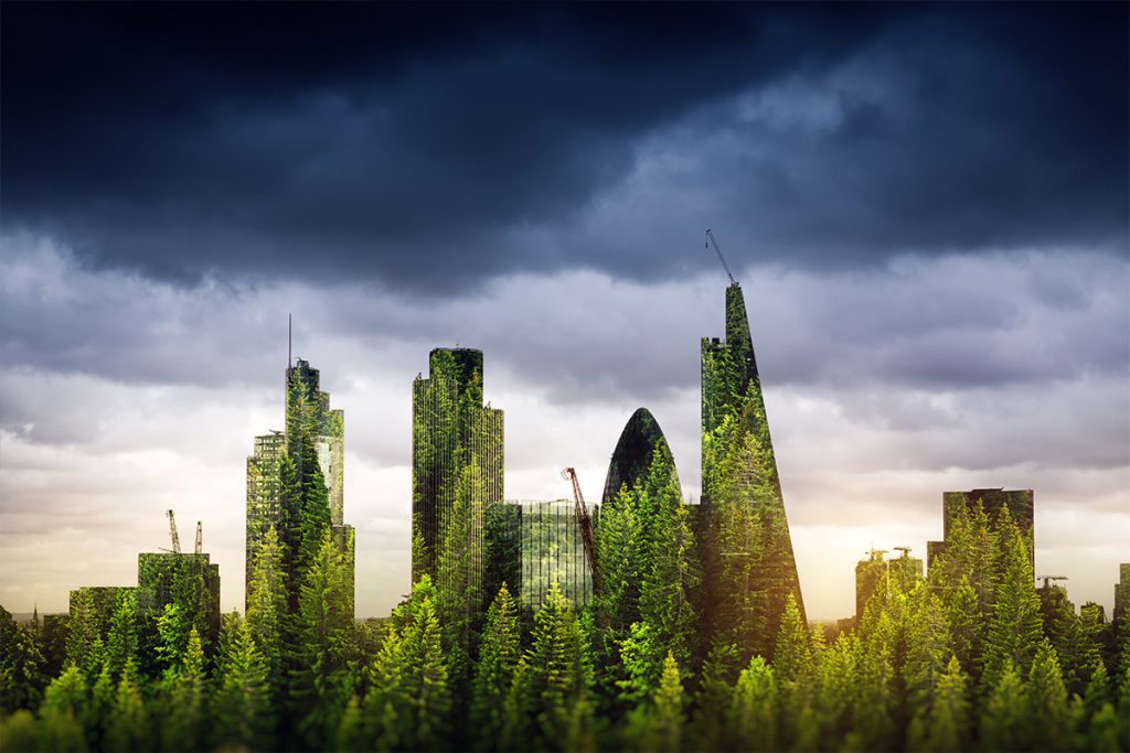 What Does “Net Zero Carbon Building” Really Mean? | Low Carbon Buildings